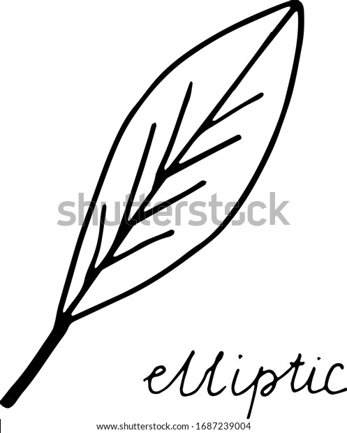 Hand Drawn Doodle Leaf Black Shape Stock Vector Royalty Free 1687239004