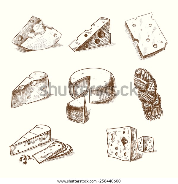 Hand Drawn Doodle Sketch Cheese Different Stock Vector (Royalty Free ...