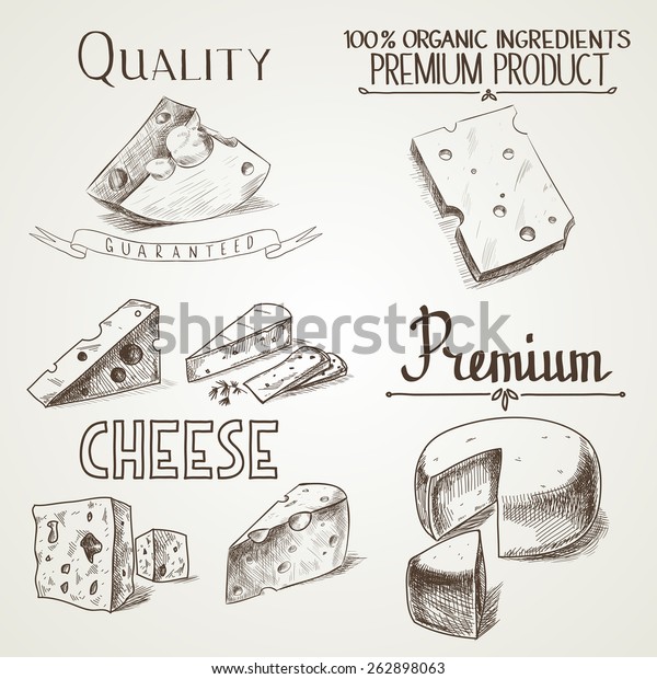 Hand Drawn Doodle Sketch Cheese Different Stock-Vektorgrafik ...