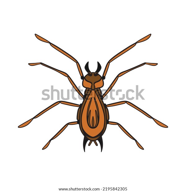 Hand Drawn Doodle Spider Vector Illustration Stock Vector (Royalty Free ...