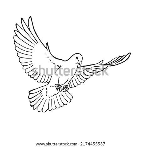 Dove Outline | Free download on ClipArtMag