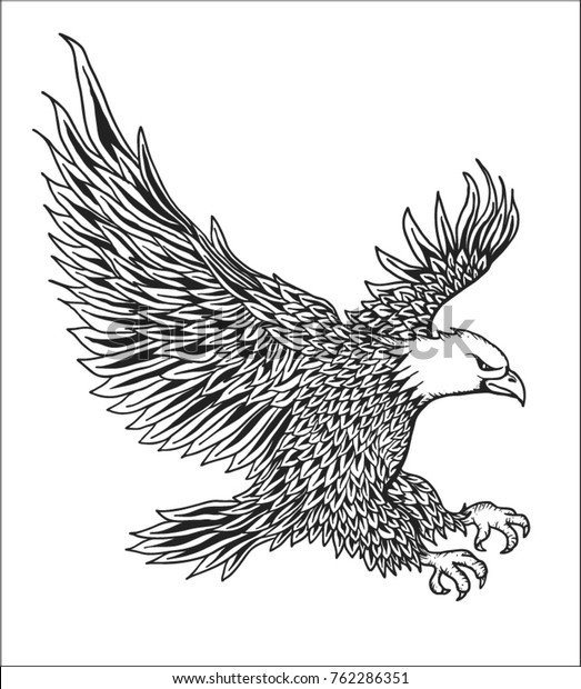 Hand Drawn Eagle Vector Stock Vector (Royalty Free) 762286351