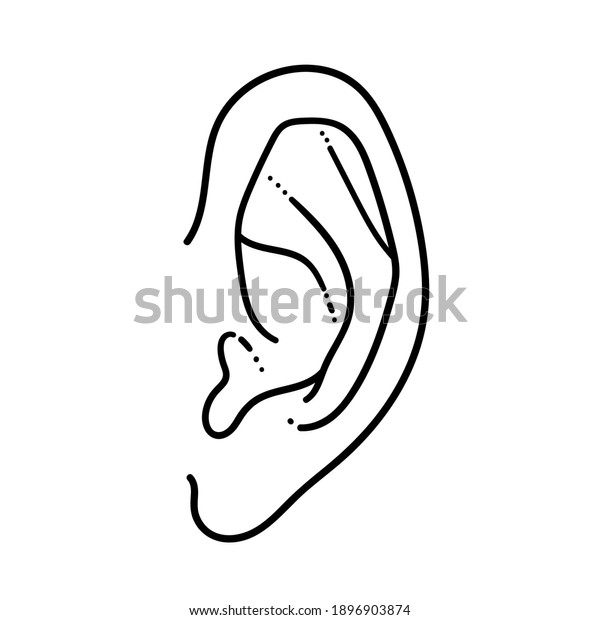 Hand Drawn Ear Sketch Symbol Vector Stock Vector (Royalty Free) 1896903874