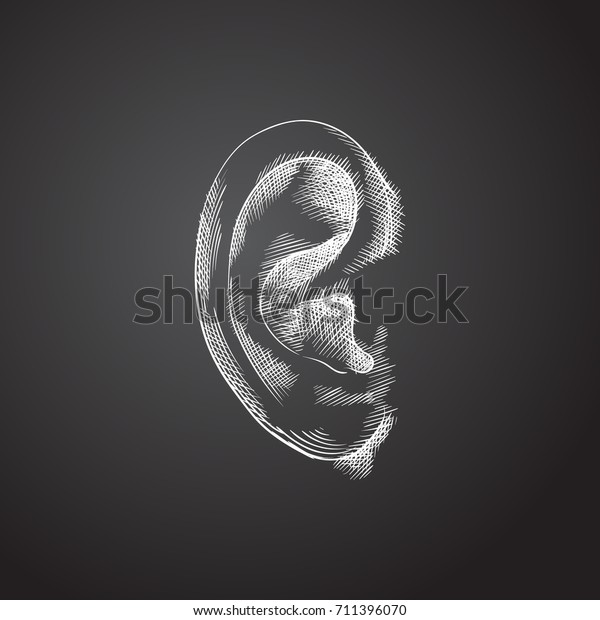 Hand Drawn Ear Sketch Symbol Vector Stock Vector (Royalty Free) 711396070