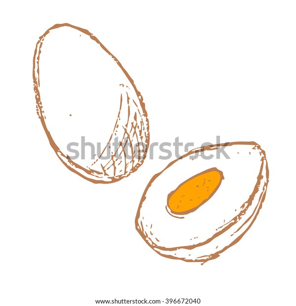 Hand Drawn Eggs Isolated On White Stock Vector (Royalty Free) 396672040