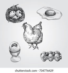 Hand Drawn Eggs Sketches Set Collection Stock Vector (Royalty Free ...