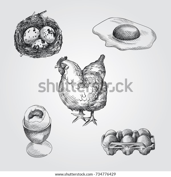 Hand Drawn Eggs Sketches Set Collection Stock Vector (Royalty Free ...