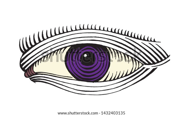 Hand Drawn Eye Drawing Line Art Stock Vector (Royalty Free) 1432403135 ...
