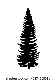 Hand Drawn Fir Tree Vector Illustration Stock Vector (Royalty Free ...