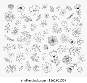 Hand Drawn Floral Design Elements Doodle Stock Vector (Royalty Free ...