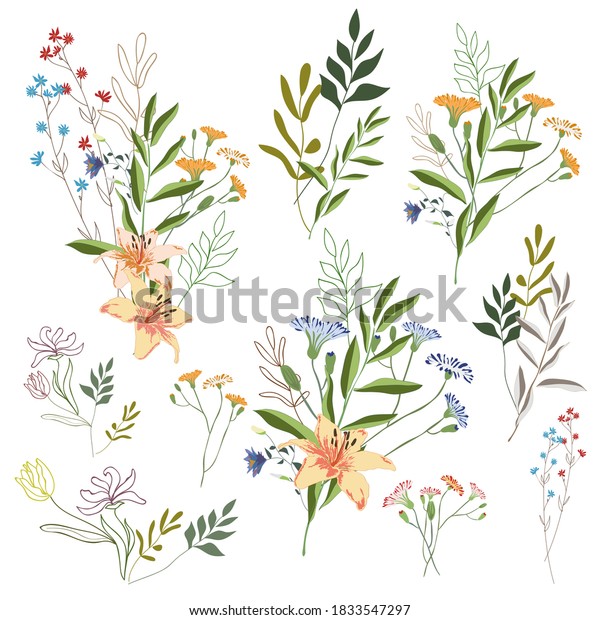 Hand Drawn Flower Collection Various Flowers Stock Vector (Royalty Free ...