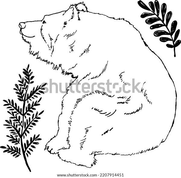 Hand Drawn Forest Bear Branches Leaves Stock Vector (Royalty Free ...