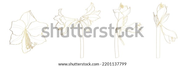 Hand Drawn Golden Line Flowers Isolated Stock Vector (Royalty Free ...