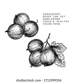Gooseberry Stock Illustrations, Images & Vectors | Shutterstock