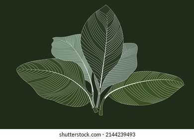 Hand Drawn Green Flower Vector Line Stock Vector (Royalty Free ...