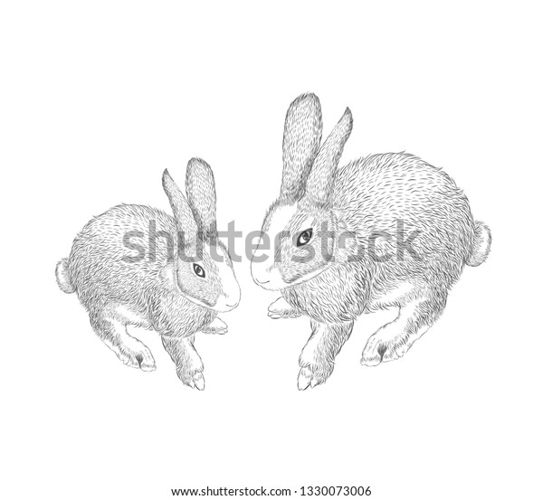 Hand Drawn Hares Rabbit Sketch Vector: เวกเตอร์สต็อก (ปลอดค่าลิขสิทธิ์ ...