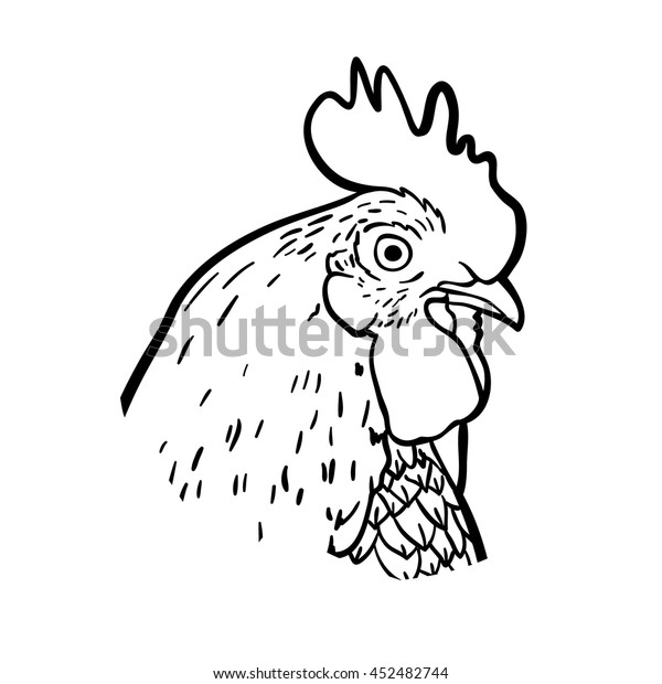 Hand Drawn Head Cockerel Isolated On Stock Vector (Royalty Free) 452482744