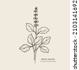 11+ Thousand Tulsi Royalty-Free Images, Stock Photos & Pictures ...