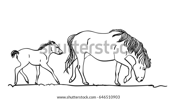 Hand Drawn Horse Foal Vector Line Stock Vector (Royalty Free) 646510903 ...