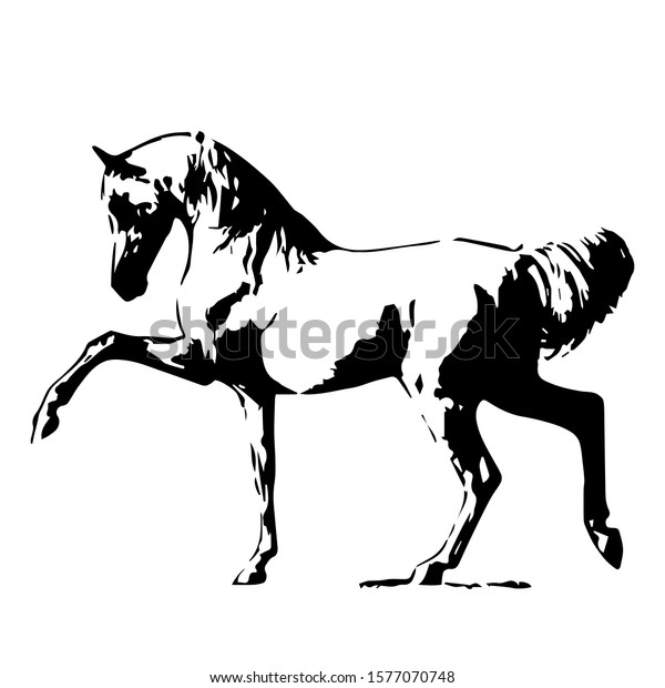 Hand Drawn Horse Vector Isolated On Stock Vector (Royalty Free) 1577070748