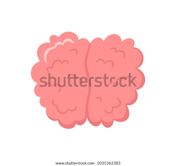 Hand Drawn Human Brain Front View Stock Vector (Royalty Free ...