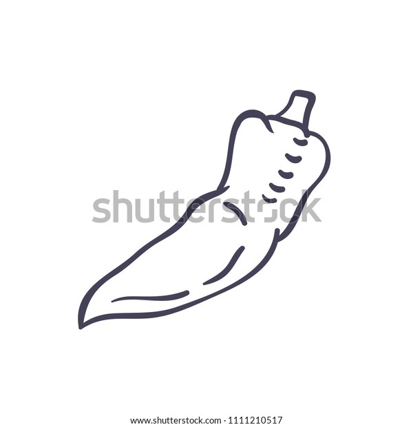 Hand Drawn Illustration Chilli Stock Vector (Royalty Free) 1111210517