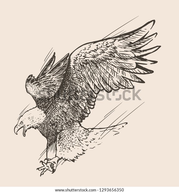 Hand Drawn Illustration Eagle Catching Stock Vector (Royalty Free ...