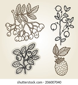 3,606 Mulberry draw Images, Stock Photos & Vectors | Shutterstock