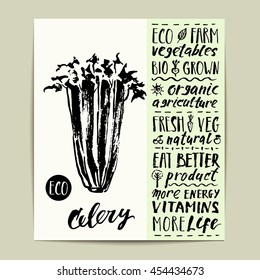 Hand Drawn Ink Celery Label Lettering Stock Vector (Royalty Free ...