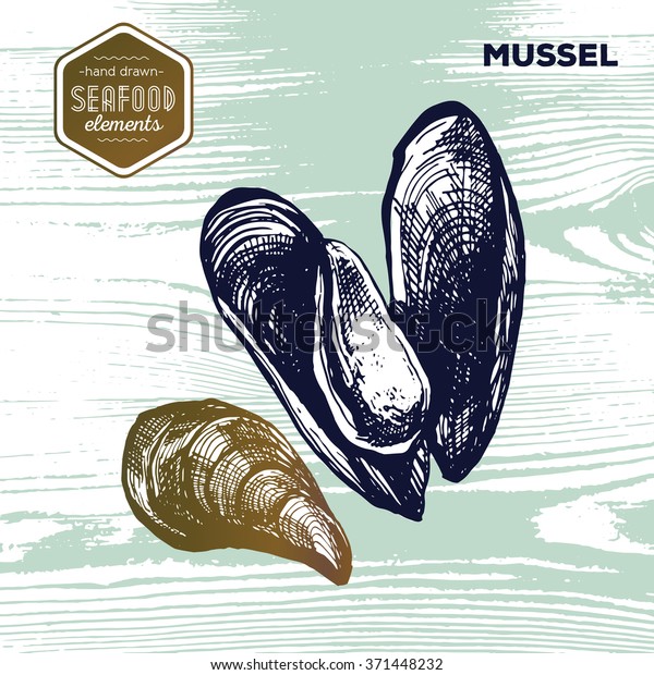Hand Drawn Ink Sketch Seafood Mussels Stock Vector (Royalty Free ...