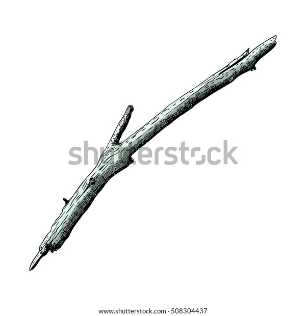 Hand Drawn Inked Drawing Wood Twig Stock Vector (Royalty Free) 508304437