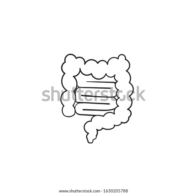 Hand Drawn Intestines Doodle Linear Icon Stock Vector (Royalty Free ...