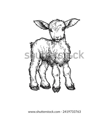 Easter Lamb Drawing | Free download on ClipArtMag