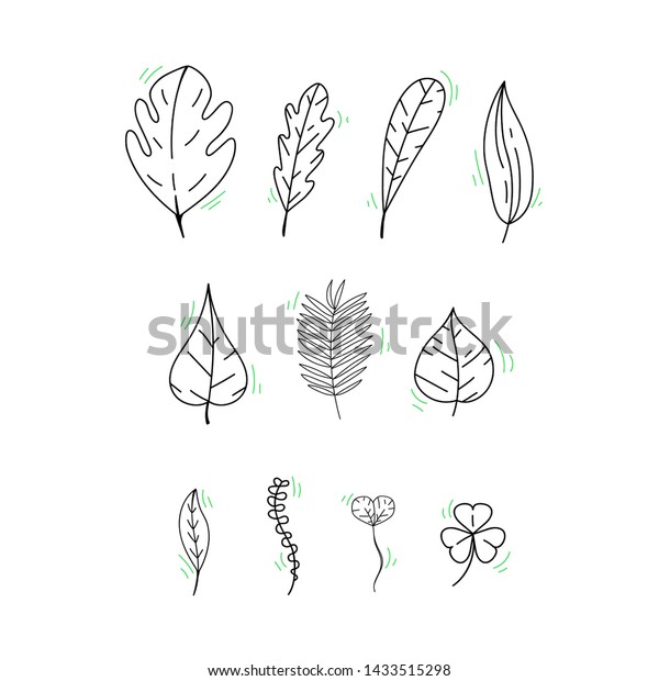Hand Drawn Leaf Illustration Collection Stock Vector Royalty Free