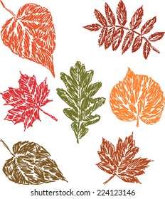 Hand Drawn Leaves Stock Vector (Royalty Free) 224123146 | Shutterstock