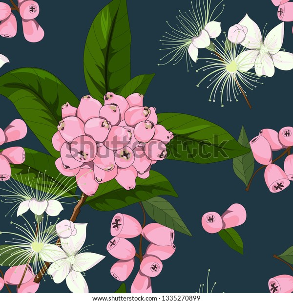 Hand Drawn Lilly Pilly Flower Riberryaustralia Stock Vector (Royalty ...