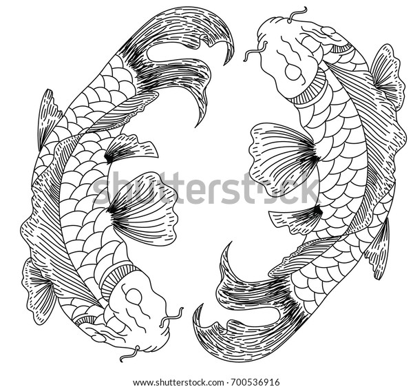 Hand Drawn Line Art Fish Koi 스톡 벡터(로열티 프리) 700536916 | Shutterstock