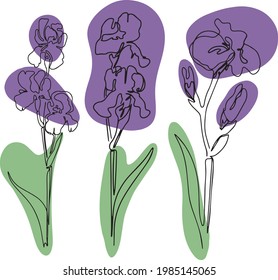 Hand Drawn Line Art Monoline Flowers Stock Vector (Royalty Free ...
