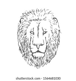 268 Lion facing forward Images, Stock Photos & Vectors | Shutterstock