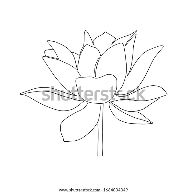 Hand Drawn Lotus Flower Line Art Stock Vector (Royalty Free) 1664034349 ...