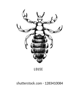150 Body lice Stock Illustrations, Images & Vectors | Shutterstock