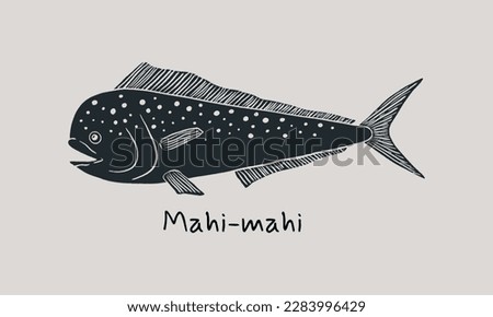 Mahi Mahi Drawing | Free download on ClipArtMag