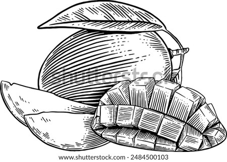 Mango Line Drawing | Free download on ClipArtMag