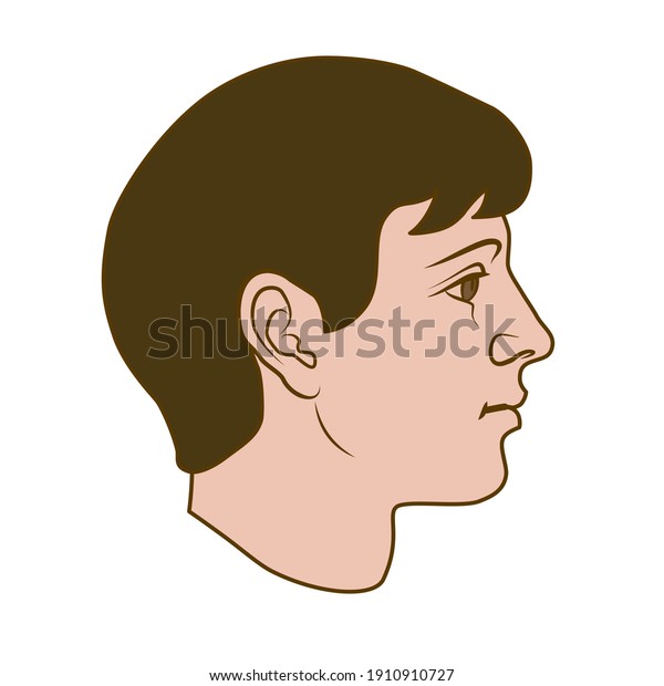 Hand Drawn Model Human Head Side Stock Vector (Royalty Free) 1910910727 ...