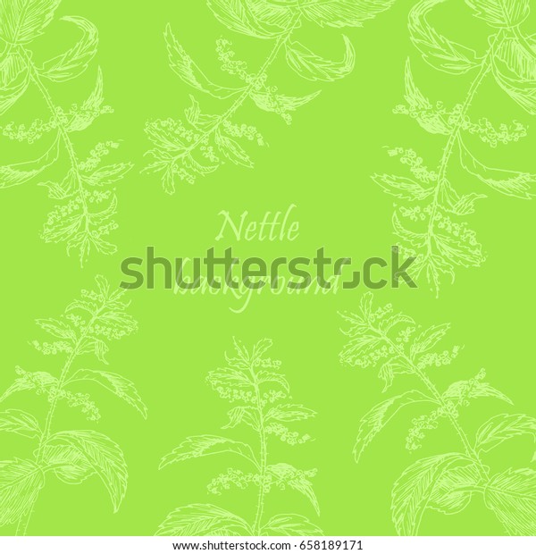 Hand Drawn Nettle Plant Leaves Background Stock Vector (Royalty Free ...