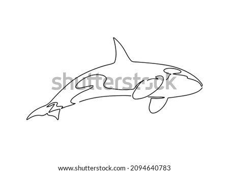 Killer Whale Outline Drawing | Free download on ClipArtMag
