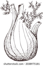 1,384 Fennel silhouette Images, Stock Photos & Vectors | Shutterstock