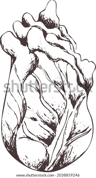 Hand Drawn Outline Abstract Vector Image Stock Vector (Royalty Free ...