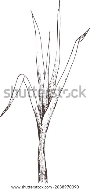 Hand Drawn Outline Abstract Vector Image Stock Vector (Royalty Free ...