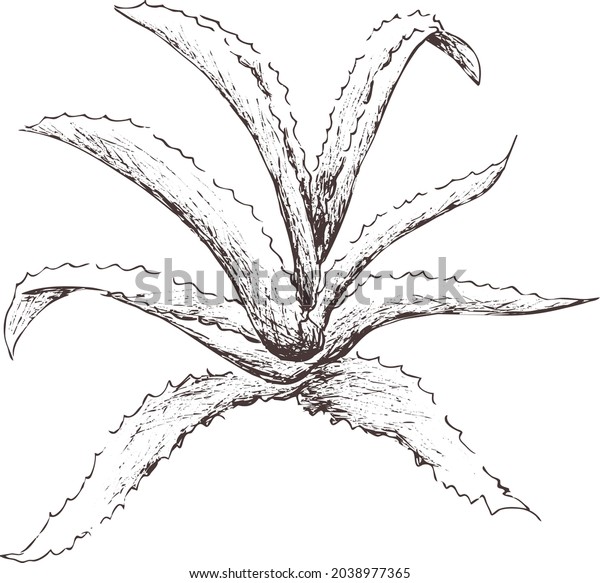 Hand Drawn Outline Abstract Vector Image Stock Vector (Royalty Free ...